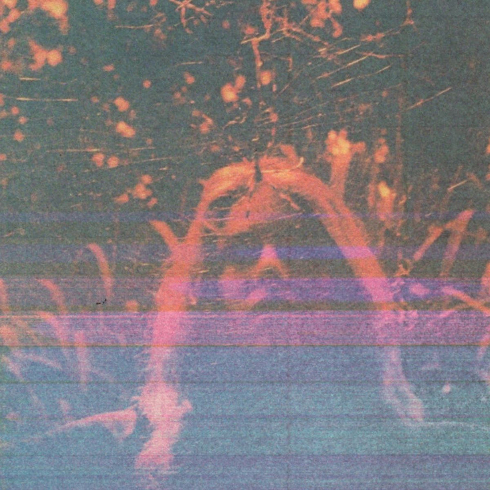 Turnover 'Peripheral Vision (10 Year Anniversary Deluxe Edition ...